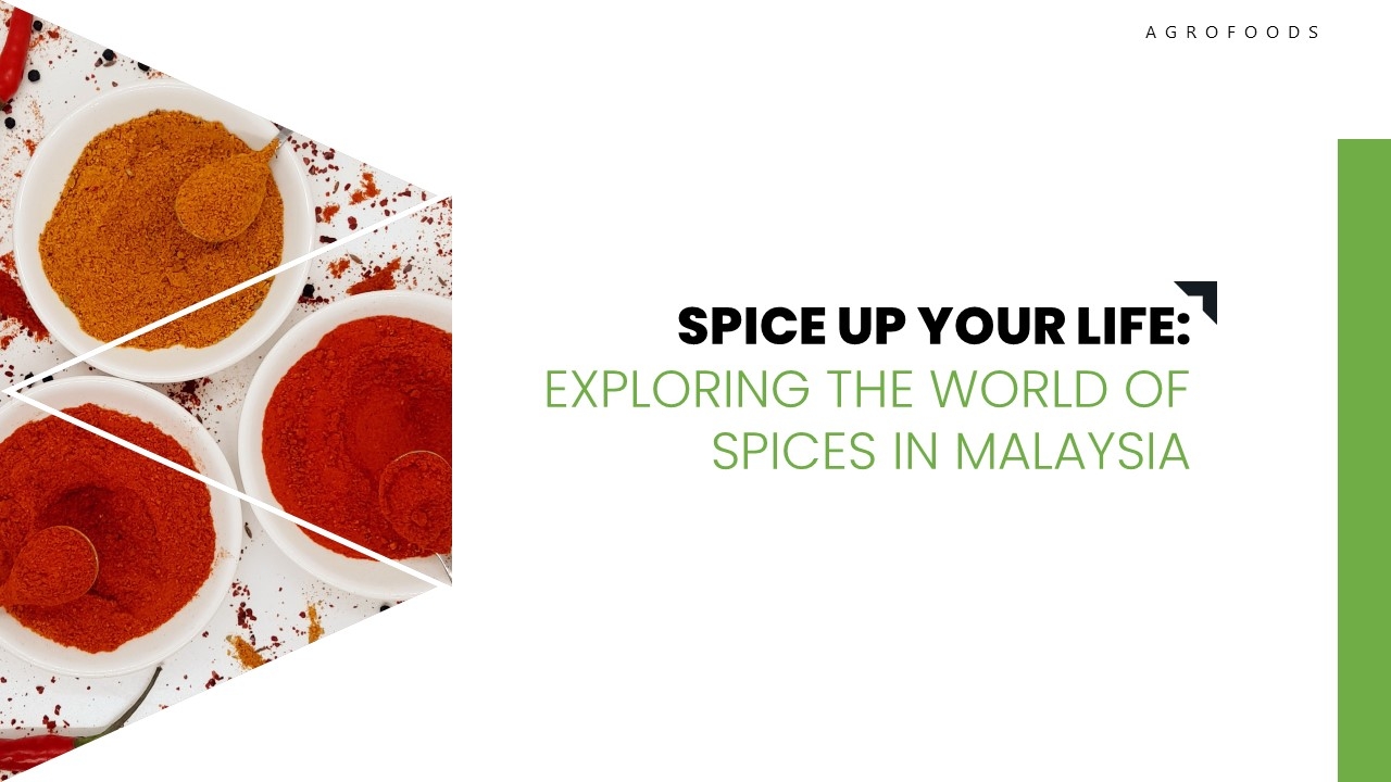 Spice Up Your Life: Exploring the World of Spices in Malaysia